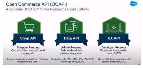Creating custom OCAPI endpoints - The Rhino Inquisitor